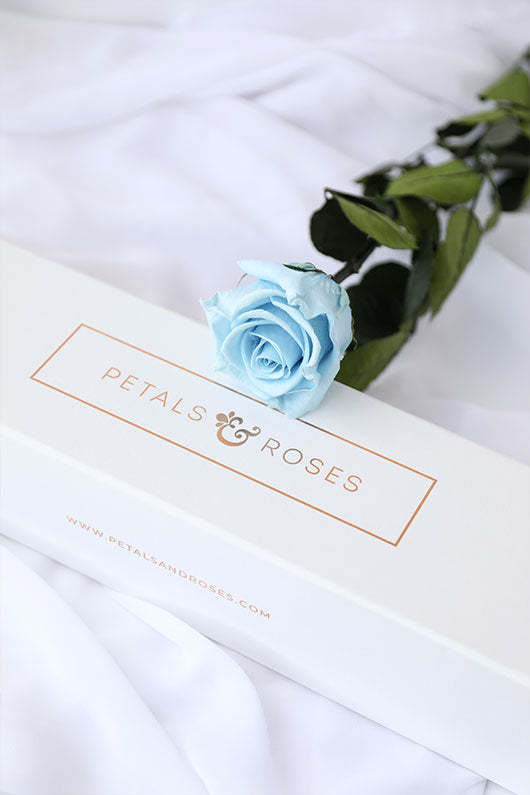 Real Baby Blue Preserved Roses – Petals and Roses