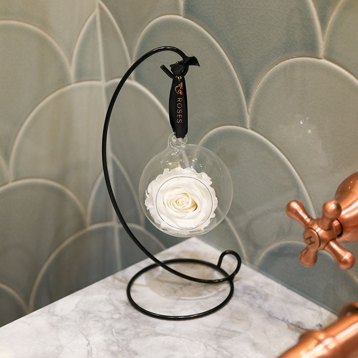 Preserved Hanging Rose – Petals and Roses
