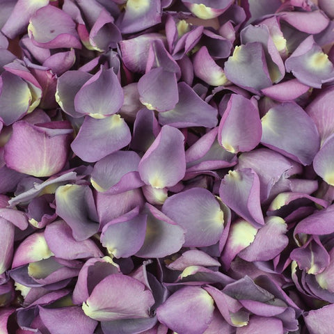 Petal Calculator – Petals and Roses