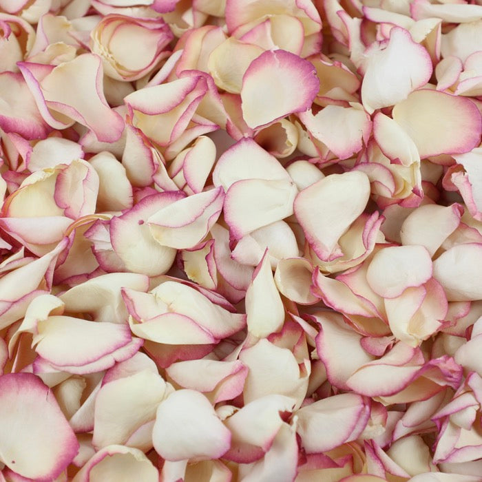Rose Petals – Petals and Roses