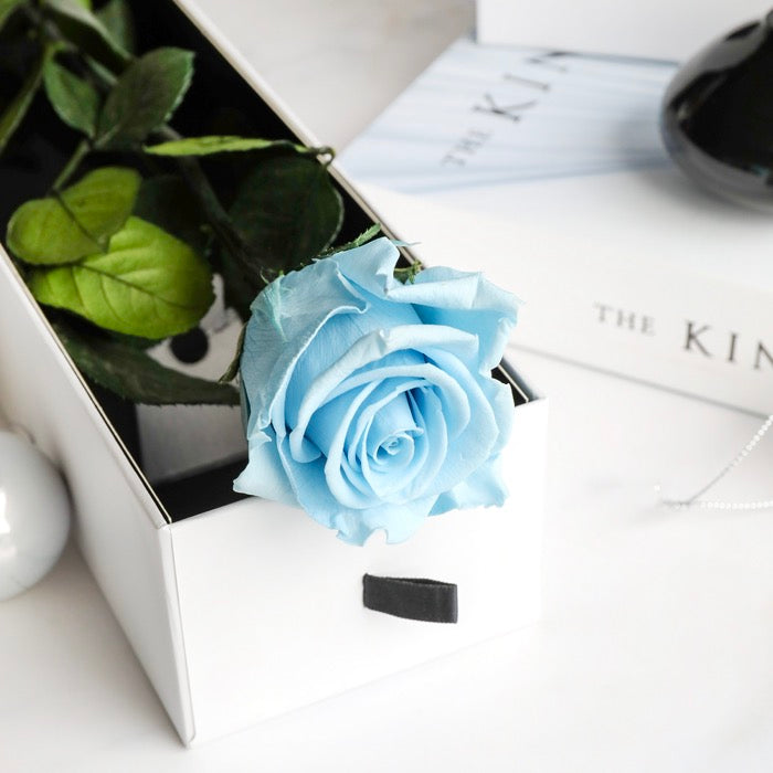 Baby Blue Everlasting Preserved Rose in Box – Petals and Roses
