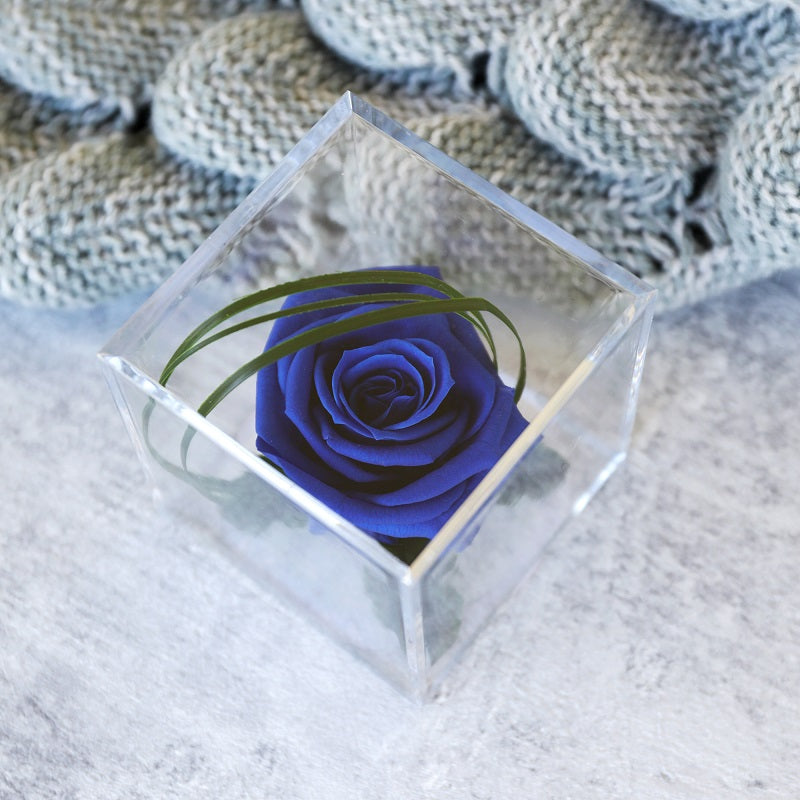 Royal Blue Timeless Rose Cube – Petals and Roses