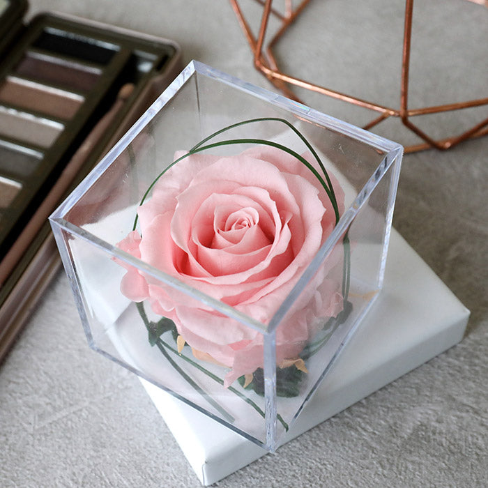 Pink Eternal Rose Cube – Petals and Roses