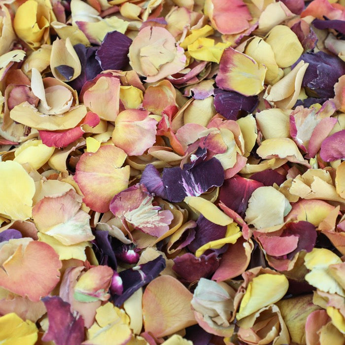 Citrus Rose Petals (B Grade) – Petals and Roses