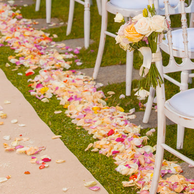 Petal Calculator – Petals and Roses